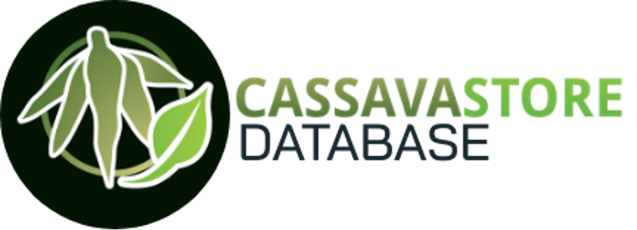 Cassava store